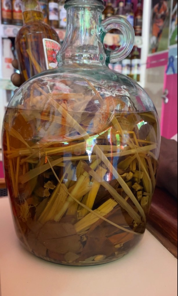 5 Must Do Adventures in Grenada – Waterfalls, Rum and More! – As Told ...