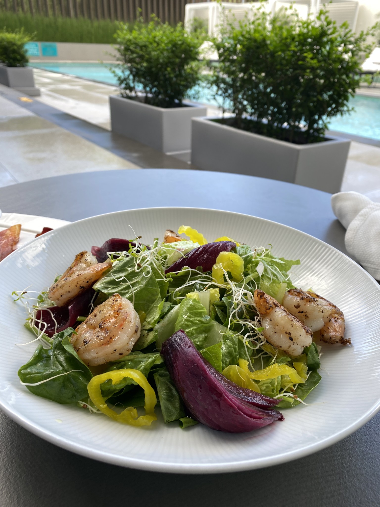 Checked In: The Brix, Autograph Collection – Trinidad – As Told by Ali